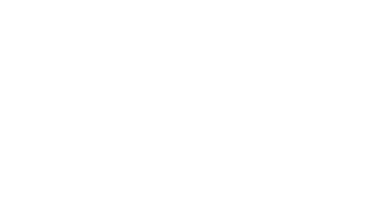 URSM – Unified Resilient Sint Maarten Movement – Political Party